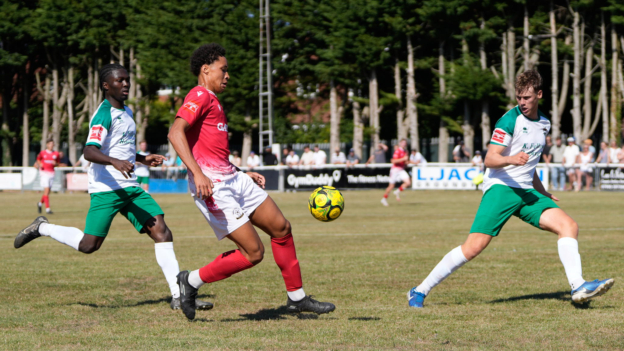 News – Bognor Regis Town