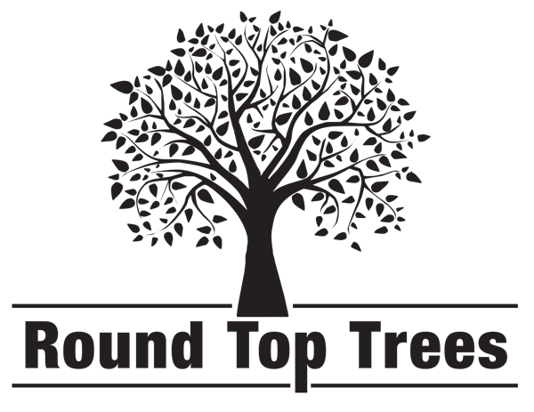 Partners – Chichester City