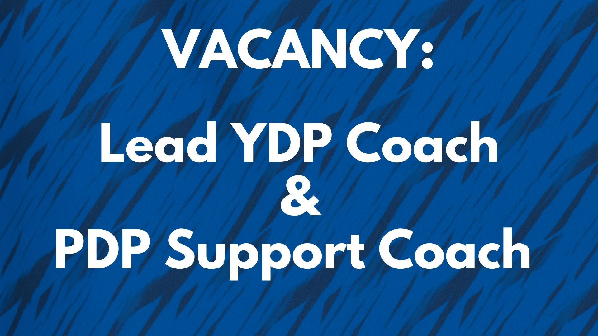VACANCY: Lead Youth Development Phase Coach (U13–U16) & PDP Support ...