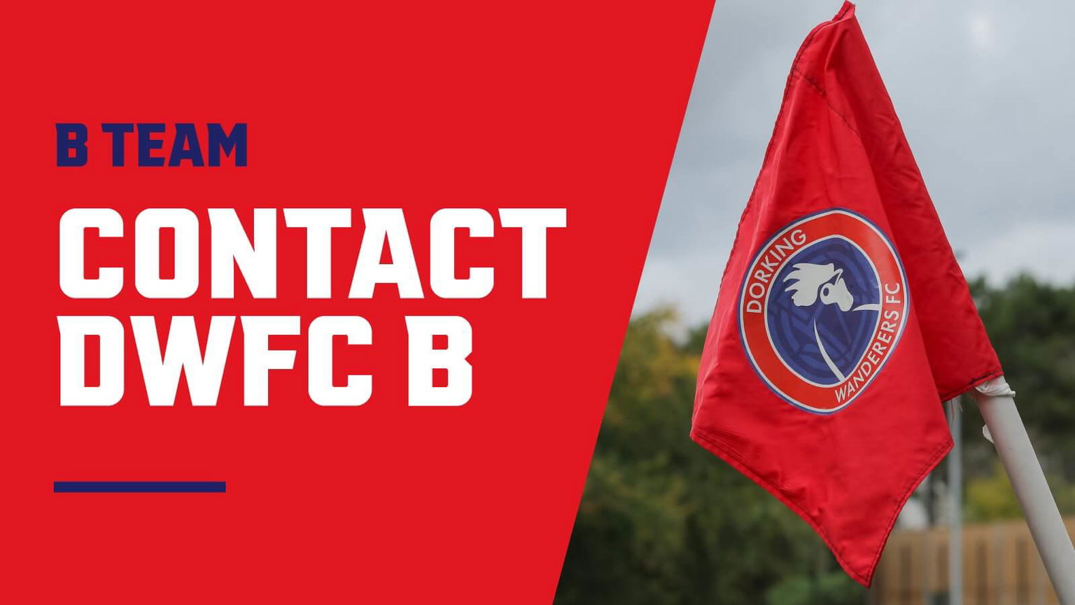 B Team – Dorking Wanderers