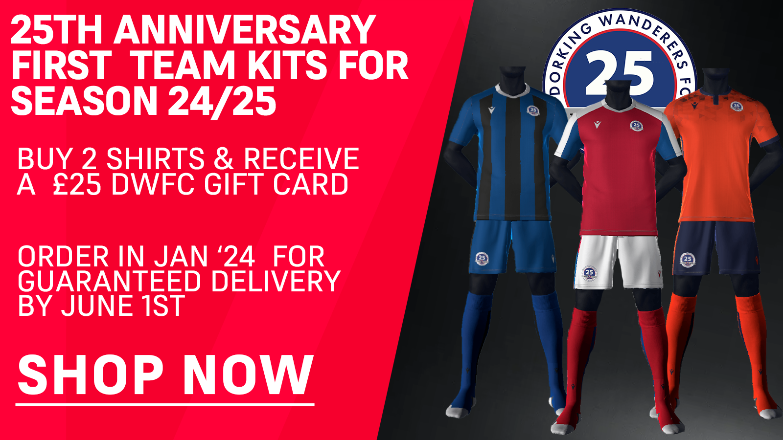 The official launch of our 25th Anniversary Kit – Dorking Wanderers