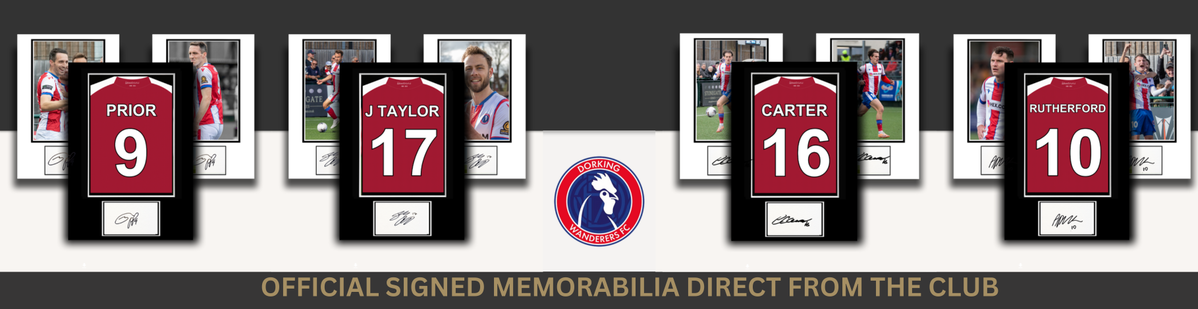 Dorking Wanderers – Official Website