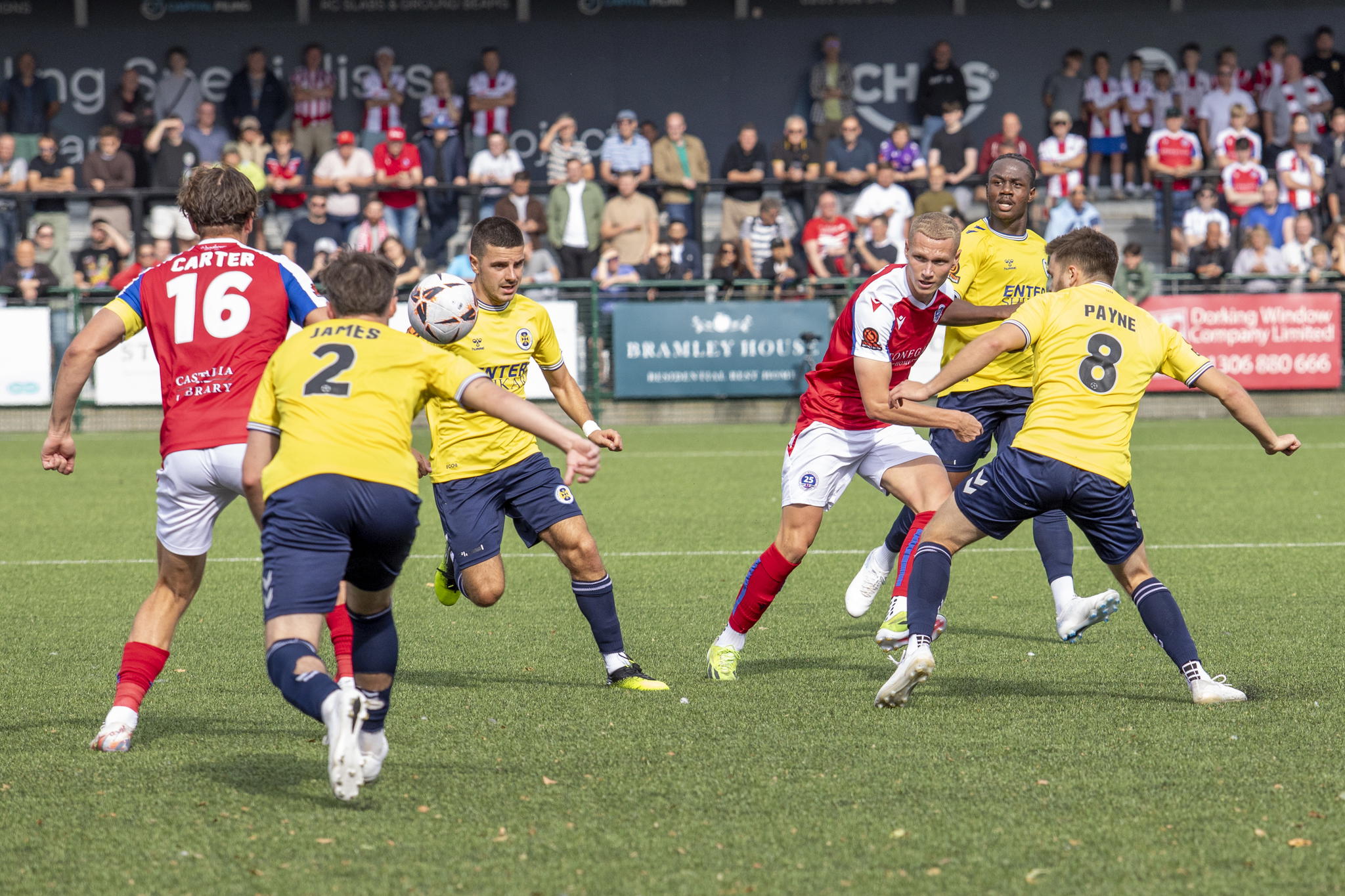 Dorking Wanderers 2-1 St Albans | Gallery – Dorking Wanderers