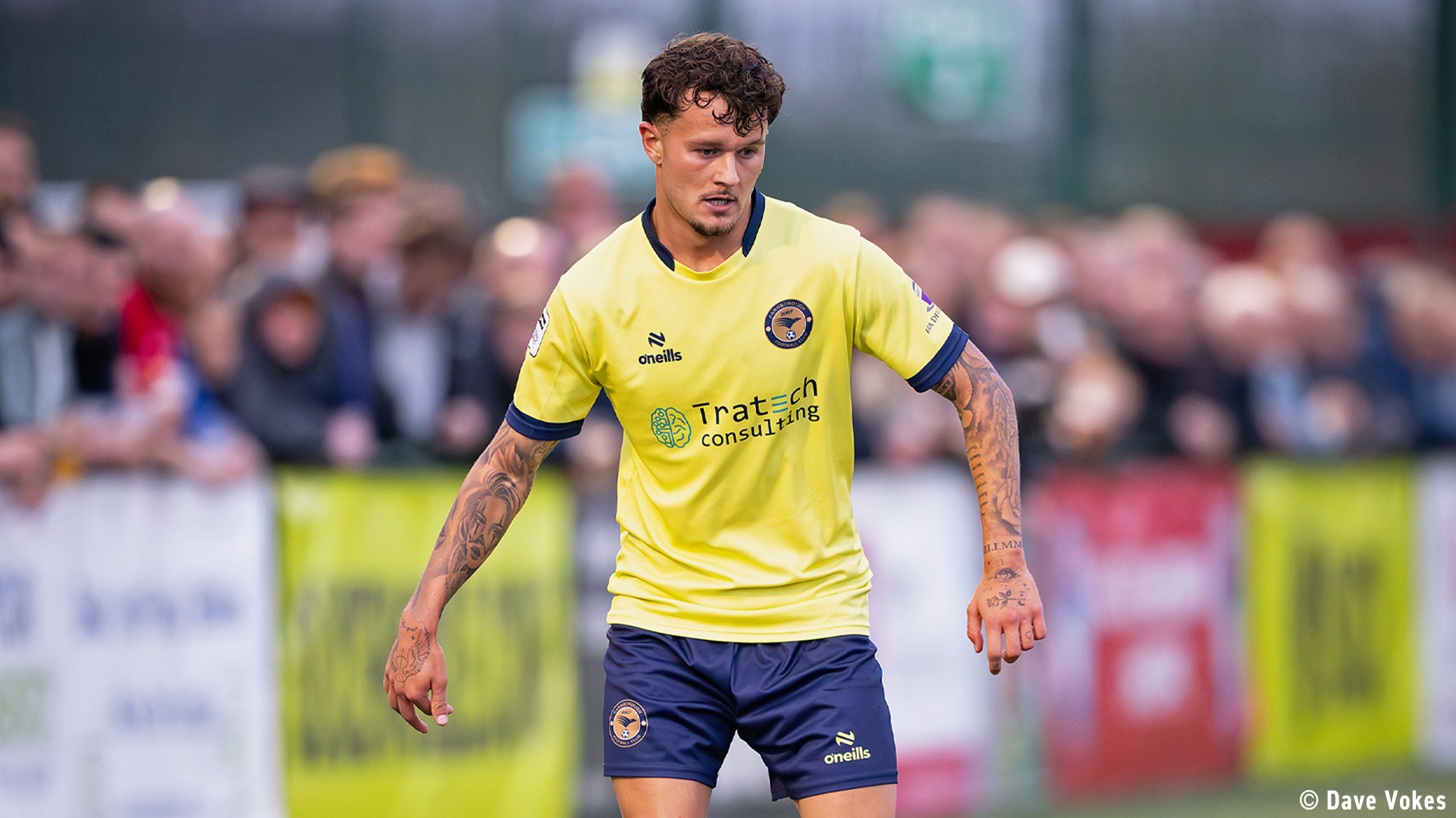Holzman returns – Farnborough FC