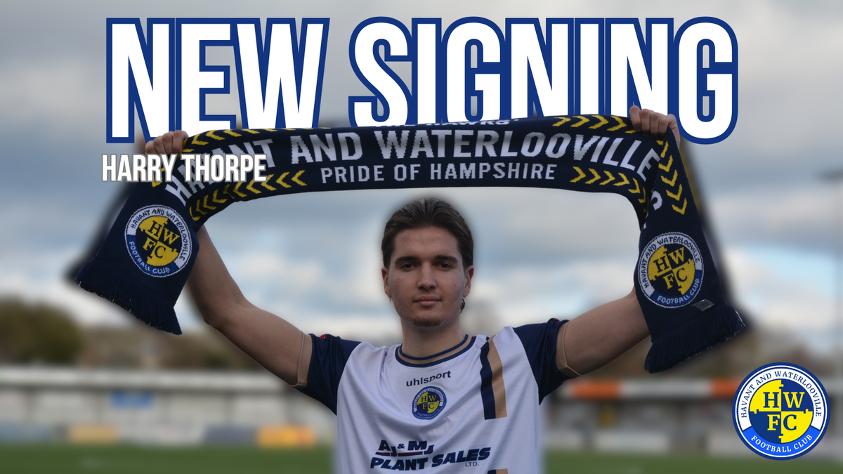 Harry Thorpe joins the Hawks – Havant & Waterlooville FC