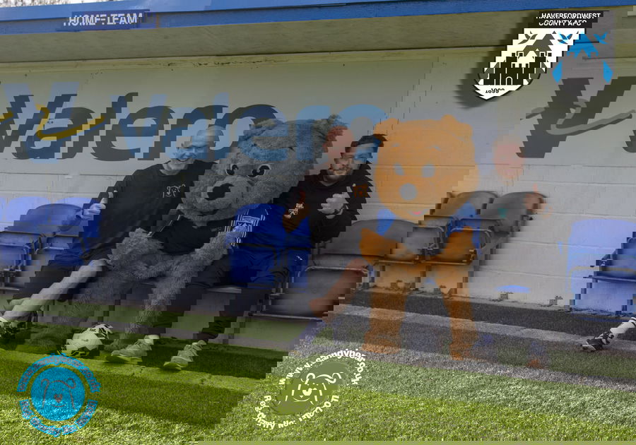 Haverfordwest County welcome Sandy Bear on board as official Community ...