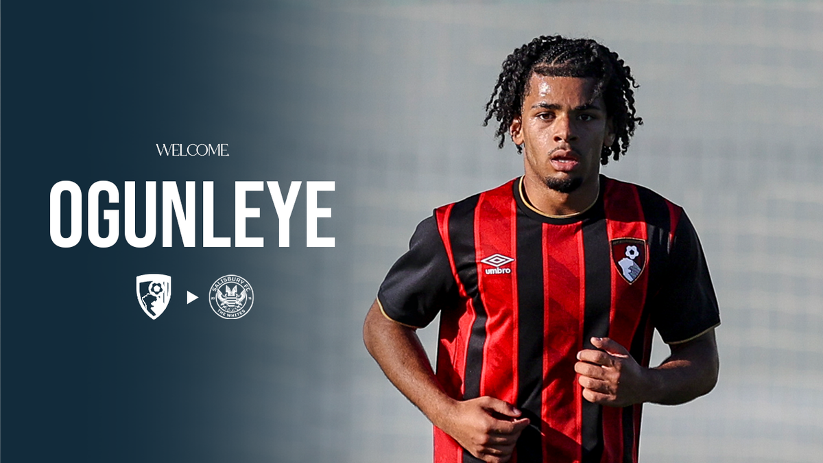 Ogunleye joins the Whites until the end of the season – Salisbury FC