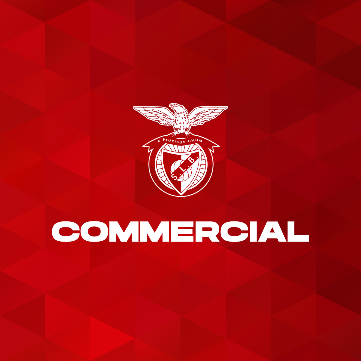 Commercial Opportunities – Sport London e Benfica