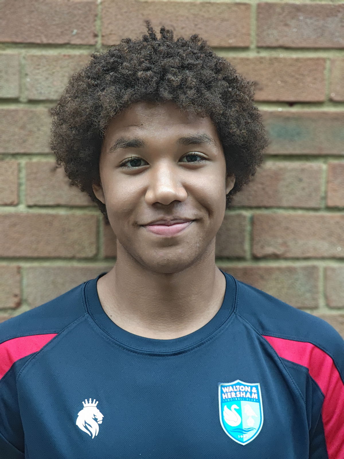 First Team – Walton & Hersham Football Club