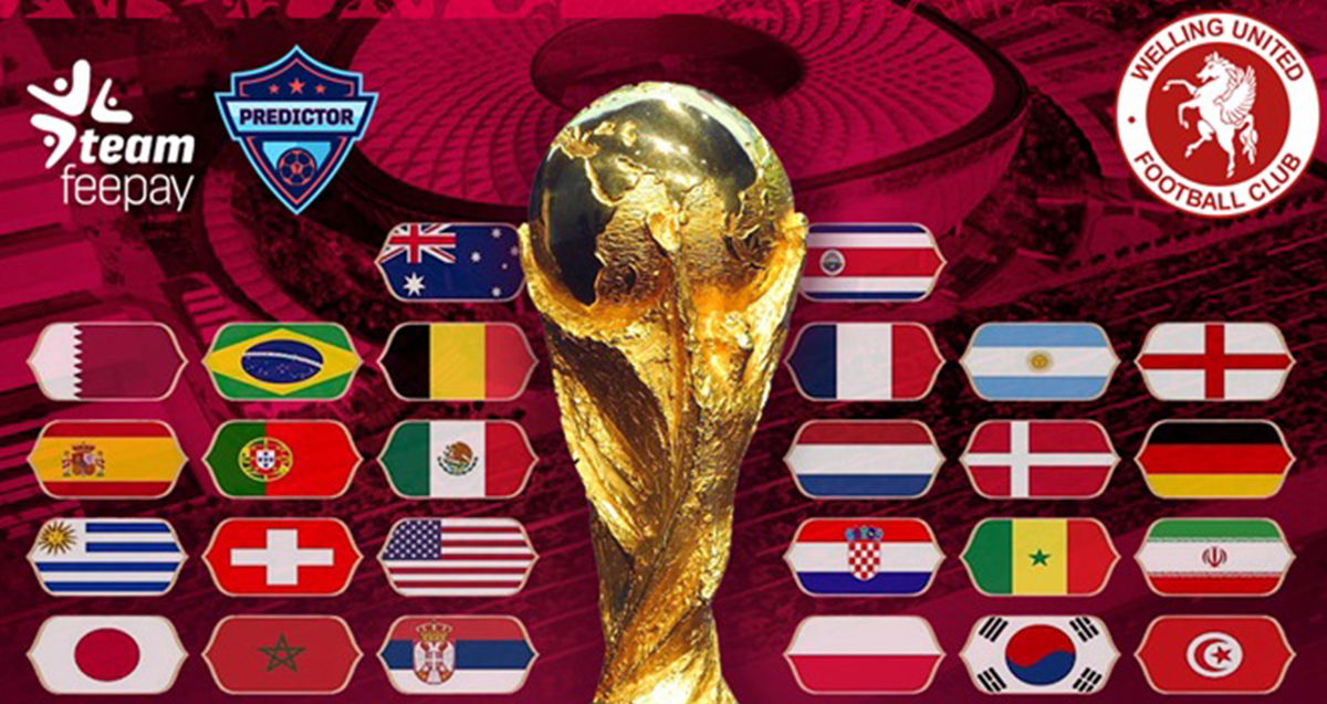 Enter the 2022 World Cup Predictor fundraiser for a chance to win ...