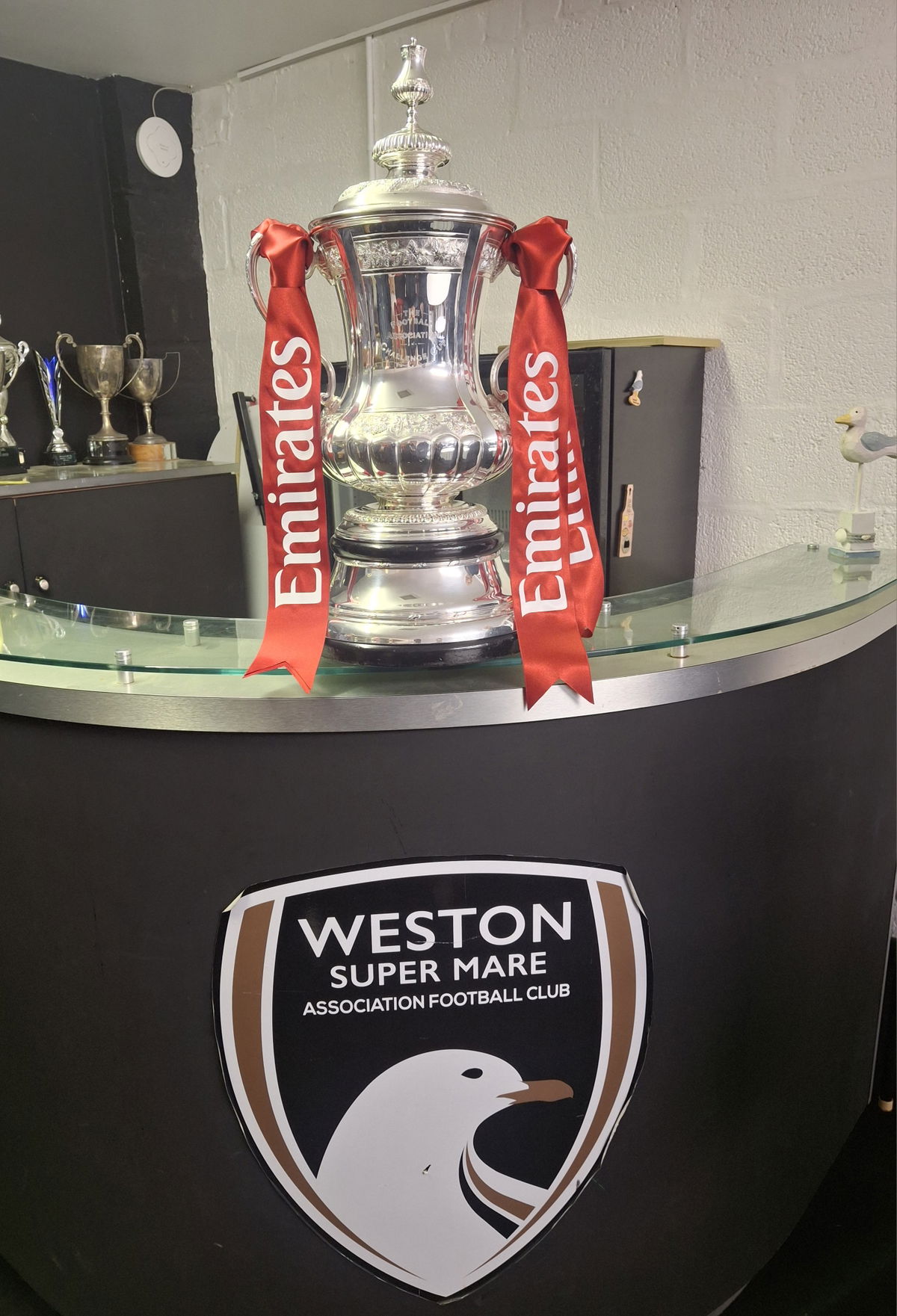 Gallery: The FA Cup at The Optima Stadium – Weston-super-Mare AFC