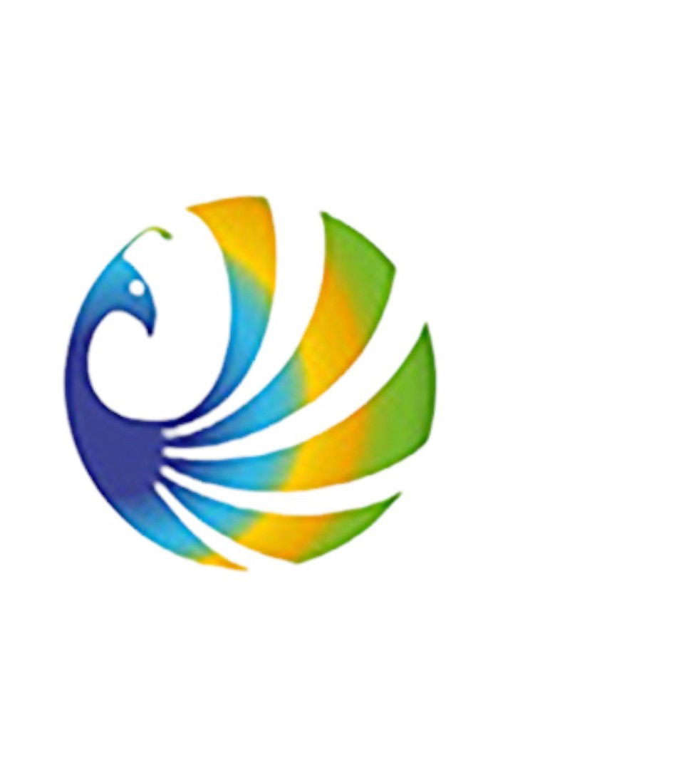 Neal Ardley Interview – Woking FC